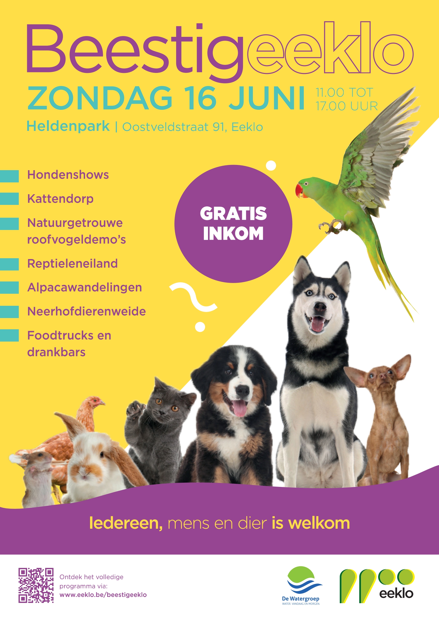 Home - La Casa del Loro - Papegaaien en vogels opvang